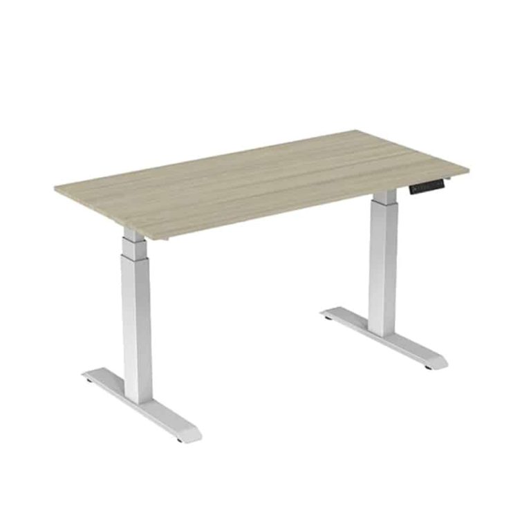 Elektrisch Zit Sta Bureau - Thuiswerkplekken - woutmonseurs.nl